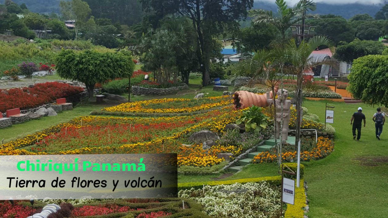 CHIRIQUÍ: TIERRA de FLORES y VOLCÁN - Descubre su BELLEZA