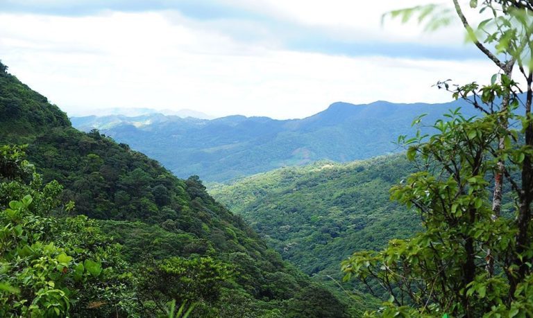 Descubre los PARQUES NACIONALES de PANAMÁ - Guía 2024